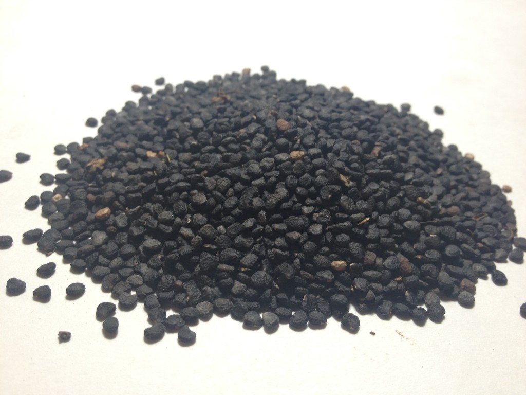 White Datura Stramonium seeds | World Seed Supply