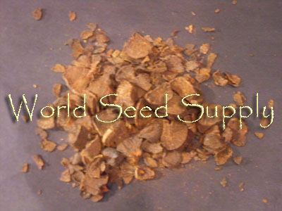 WorldSeeds | World Seed Supply
